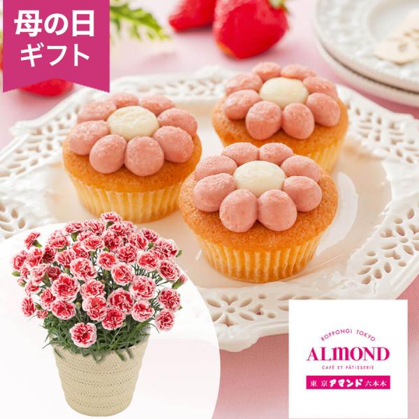 老舗菓子店「六本木アマンド」監修、可愛らしいお花のカップケーキ  お花のトッピングが可愛らしいフラワーケーキをお届け  監修は、1946年に喫茶と甘味のお店として誕生した「六本木アマンド」。アマンドピンクと呼ばれるピンクを基調とした店内装飾...