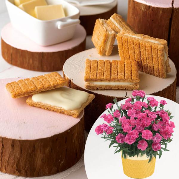 溢れるバターの香りに感謝を込めて。心ほどける「シュガーバターの木」  独自のシリアル生地が生み出す、「サクサク食感」  全粒粉・ライ麦・からす麦など、厳選した7種の素材をブレンドした独自のシリアル生地が主役です。 香ばしく焼き上げた生地に、...