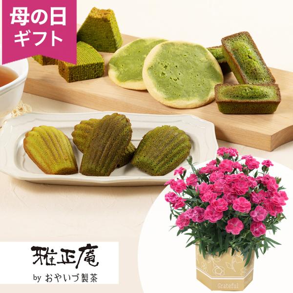 お茶会にちょうど良い、老舗茶問屋が贈る抹茶スイーツ詰め合せ静岡で長く愛される茶問屋が、良質な茶葉を厳選して作り上げたスイーツたち。 マドレーヌ：抹茶のまろやかな旨みや爽やかな渋み、濃厚な味わいが楽しめるよう、抹茶の濃さを変えた薄茶・濃茶・特...