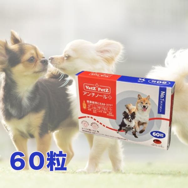 ・品質にこだわったサプリメントのため、長期使用にも安心・高齢犬への使用や薬との併用も可能広告文責：有限会社アーネスト（050-7112-7804）V&amp;P 犬 イヌ いぬ 小型犬 中型犬 大型犬 子犬 老犬 被毛 心血管 認知機能 ギ...