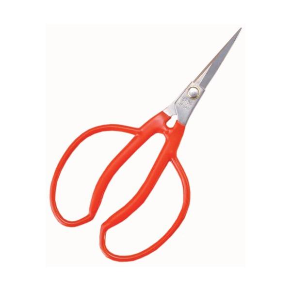 【ご購入後の当店からの連絡はご登録のメールアドレスに通知いたします。必ずご確認ください】【商品概要】葡萄農家だけでなく花苗用や蘭のお手入れ用にも使われる鋏です。【商品説明】葡萄農家だけでなく花苗用や蘭のお手入れ用にも使われる鋏です。【商品詳...