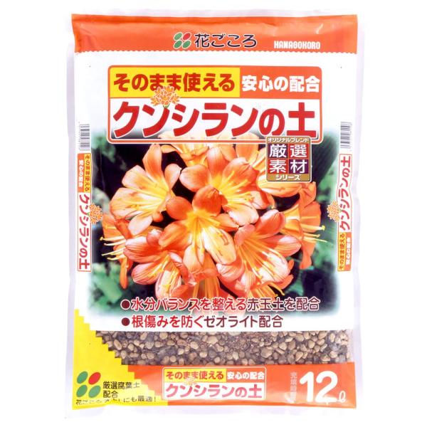 【ご購入後の当店からの連絡はご登録のメールアドレスに通知いたします。必ずご確認ください】