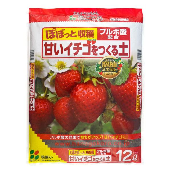 【ご購入後の当店からの連絡はご登録のメールアドレスに通知いたします。必ずご確認ください】