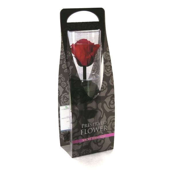 【ご購入後の当店からの連絡はご登録のメールアドレスに通知いたします。必ずご確認ください】