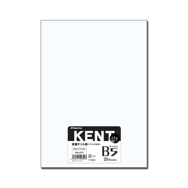 【ご購入後の当店からの連絡はご登録のメールアドレスに通知いたします。必ずご確認ください】【商品概要】スタンダードタイプのケント紙です。スケッチ、素描など手書きのほか、レーザー、インクジェット、コピー機にも対応。●紙厚0.23mm●坪量209...