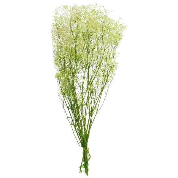 【ご購入後の当店からの連絡はご登録のメールアドレスに通知いたします。必ずご確認ください】