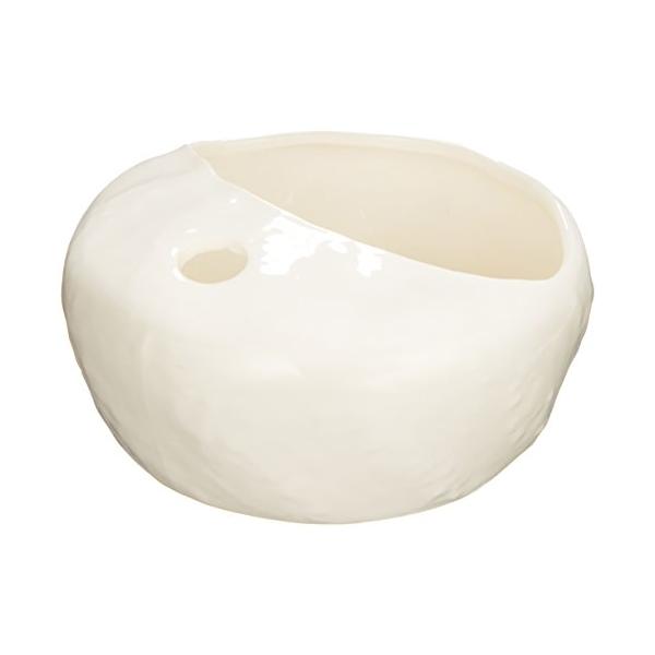 【ご購入後の当店からの連絡はご登録のメールアドレスに通知いたします。必ずご確認ください】