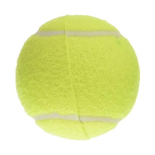 【ご購入後の当店からの連絡はご登録のメールアドレスに通知いたします。必ずご確認ください】【商品概要】対象シーズン: 通年【商品説明】説明ノンプレッシャーボール.2個パックで必要な数だけ追加できます【商品詳細】ブランド：NatuRani商品名...