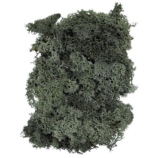 【ご購入後の当店からの連絡はご登録のメールアドレスに通知いたします。必ずご確認ください】