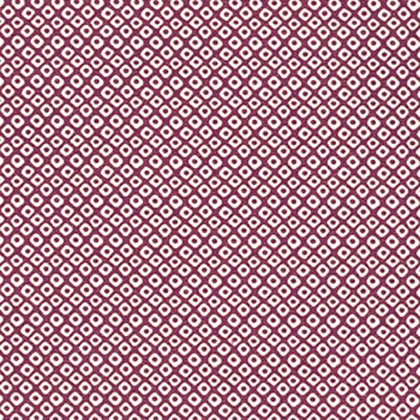 【ご購入後の当店からの連絡はご登録のメールアドレスに通知いたします。必ずご確認ください】