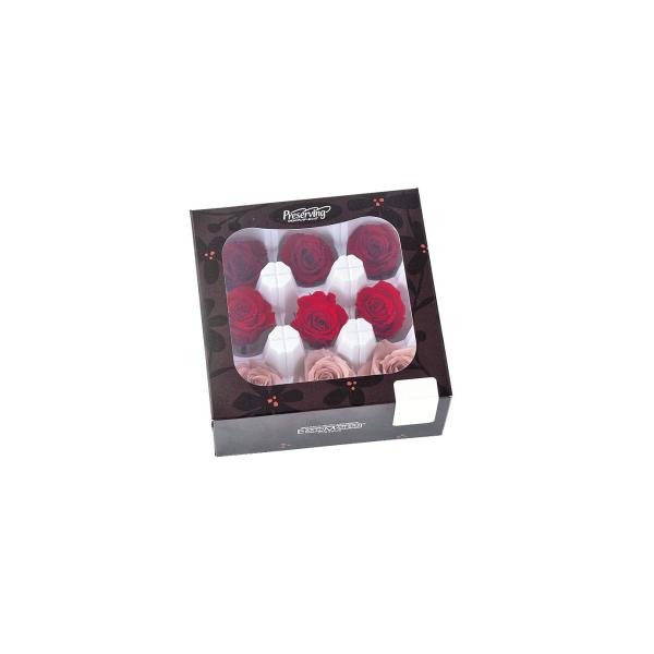 【ご購入後の当店からの連絡はご登録のメールアドレスに通知いたします。必ずご確認ください】