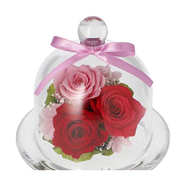 【ご購入後の当店からの連絡はご登録のメールアドレスに通知いたします。必ずご確認ください】