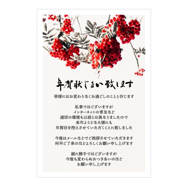 【ご購入後の当店からの連絡はご登録のメールアドレスに通知いたします。必ずご確認ください】