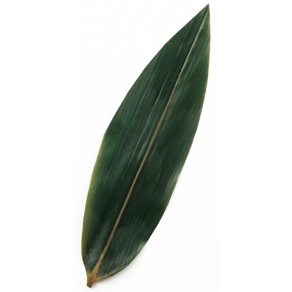 【ご購入後の当店からの連絡はご登録のメールアドレスに通知いたします。必ずご確認ください】【商品概要】本体サイズ:約20×5.5×0.1cm(1枚あたり)本体重量:約1.5g(1枚あたり)素材・材質:笹原産国:中国【商品説明】【商品詳細】ブラ...