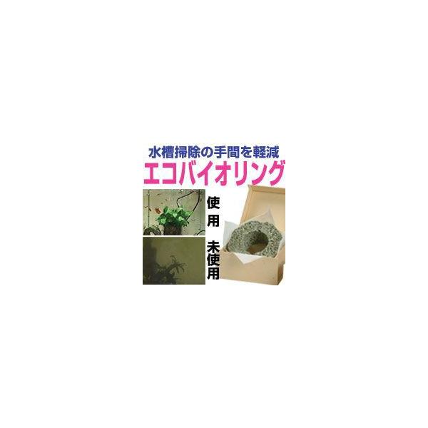 こまめな水槽の水の交換、大変じゃありませんか？そんな手間を軽減するには、エコバイオがオススメです。水槽に入れておくだけで、BB菌の効果で有機物が分解され、水質が浄化されます。