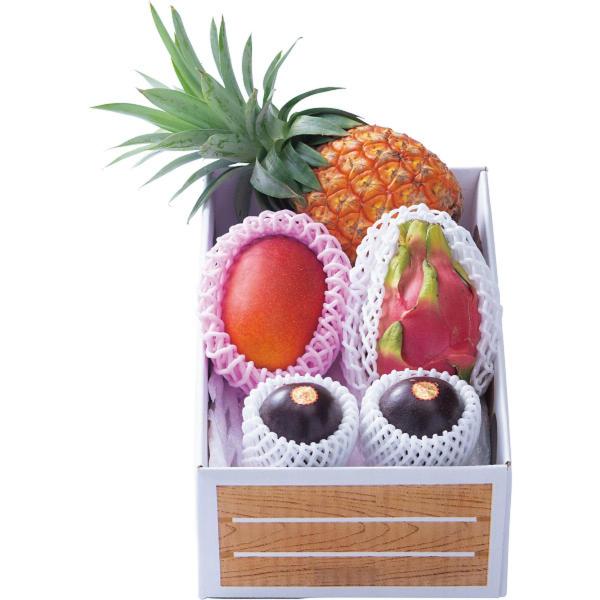 夏の日本の南国フルーツを取り揃え詰合せにしました。地元九州からお届けいたします。■商品内容●宮崎又は沖縄産完熟マンゴー250g×1玉、沖縄産パイン(スナックパイン又はピーチパイン)700g×1玉、沖縄産パッションフルーツ80g×2玉、沖縄産...