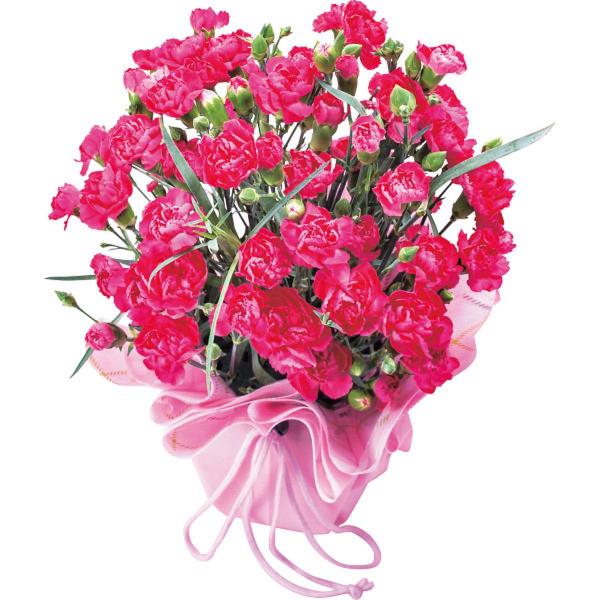 ピンクのカーネーションです。お母さんのそばで花を咲かせながら、感謝の気持ちをそっと伝えます。千葉長谷川農園生産。■商品内容●カーネーション(5号鉢)●お手入れのしおり付●お花は赤系統・ピンク系統でのお届けとなります。■商品サイズ●現品約20...