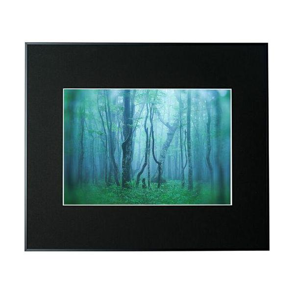 【発売日：2018年09月25日】■写真展では定番な作品額。■フォーマルな場所にも最適です。■シンプルなフレームと厚手Vカット台紙が作品を際立たせ、ゆったりと作品を鑑賞できます。