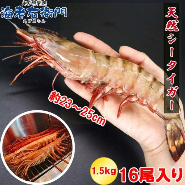美味しい海老 美味しいエビフライ奇跡のビッグサイズ！・エビフライ・天ぷら・バーベキューに！名称：えび産地名：スリランカ内容量：1.5kg養殖・解凍：天然保存方法：-18℃以下超超特大！天然有頭シータイガーえび 1.5kg 16尾サイズ 特大...