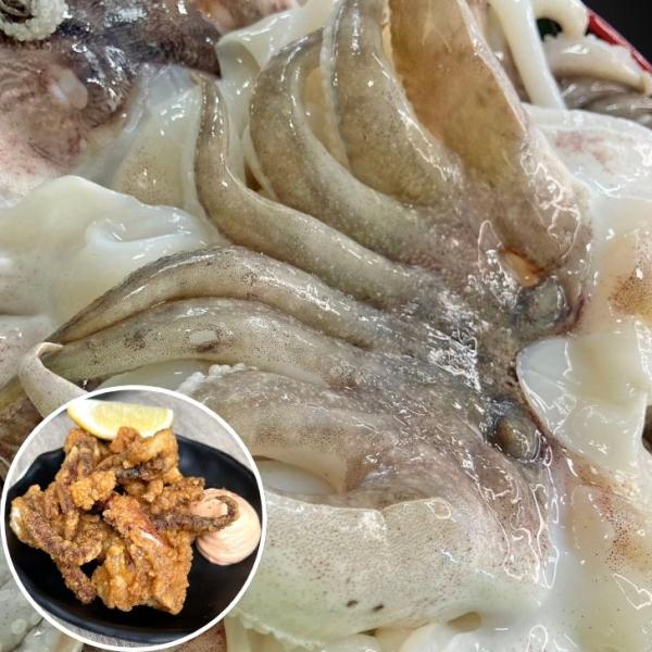 塩焼き・串焼き・バーベキューにオススメです！スリランカの厳選された漁場で獲れたモンゴイカをできるだけ水にさらさず工場に運び込み、加工しました！名称：もんごいかゲソ原材料名：モンゴイカ凍結前加熱の有無：加熱してありません加熱調理の必要性：加熱...