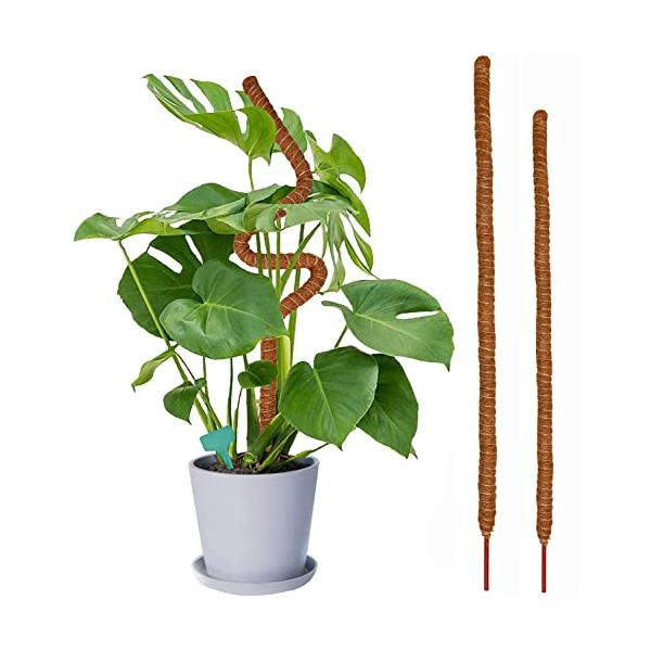 ・  Rzilmer・【セット内容】サイズ：1個70cm+1個60cm・【高品質素材】植物が包み込みやすく、水を吸収しやすいヤシ殻由来の天然繊維を使用した植物支持柱です。・【使いやすい】前端の尖った木の棒を土に差し込み、植物を固定するだけで...