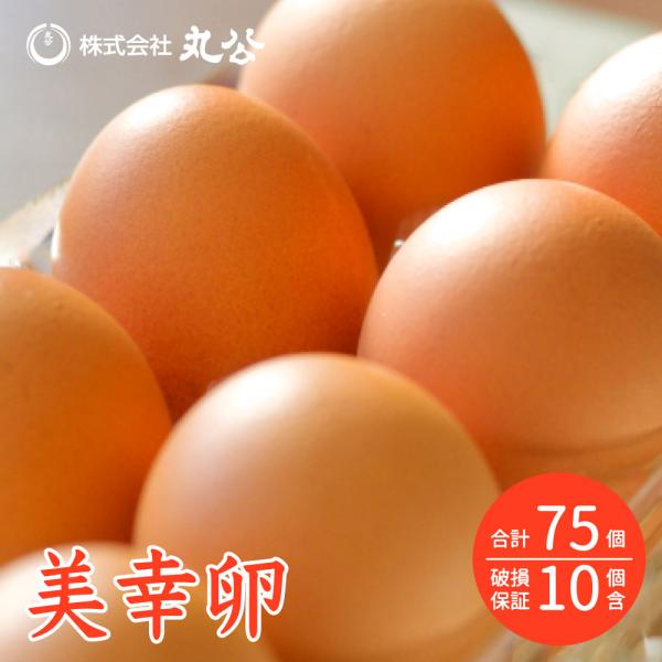 【発売日：2026年05月21日】＜食べるエイジングケア。ストレスフリーな母体から生まれた、天然アスタキサンチンの贅沢卵。＞ストレスのない、健康で安全な親鶏から生まれた「美幸卵（びこうらん）」。美しいお日様色の黄身には、抗酸化作用がある成分...
