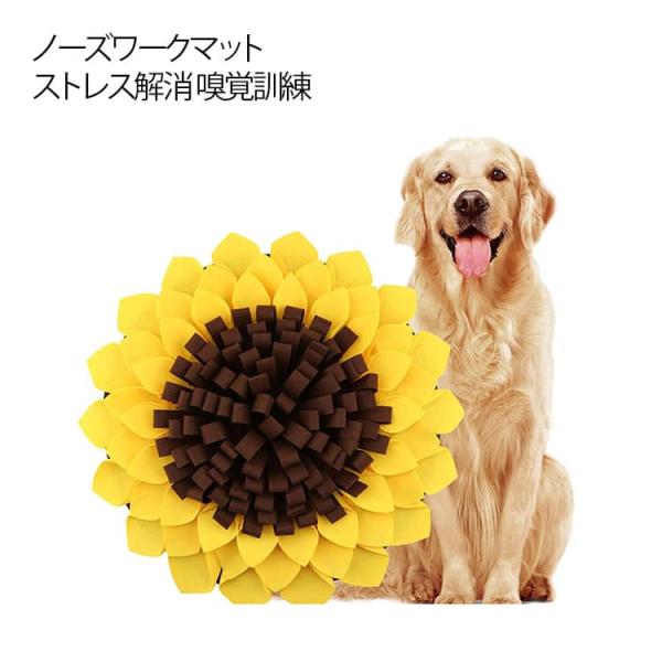 38*38cm  ※サイズ計測には誤差が生じます。