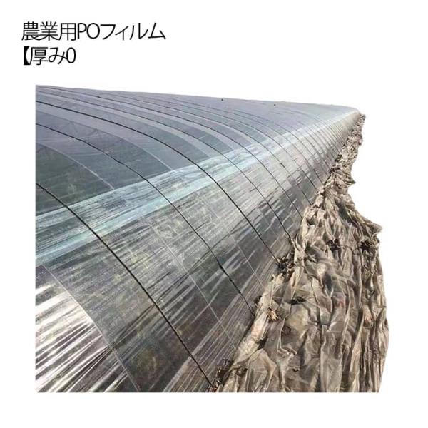 厚み0.1mm 幅600cm 長さ10m