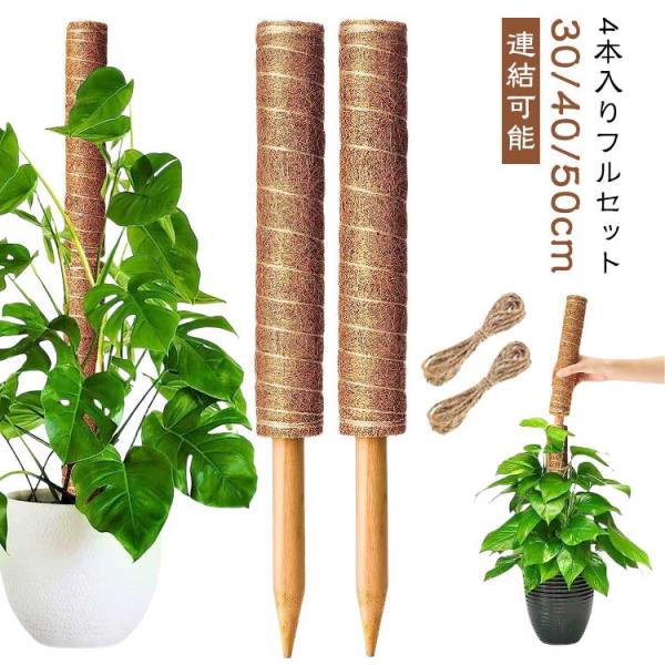 通常タイプ：30cm、40cm、50cm