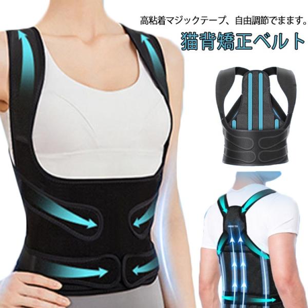 バスト：【S】26-34cm 【M】34-41cm 【L】41-49cm