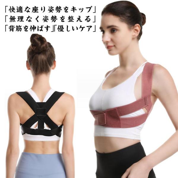 XS:お勧め体重25-35kg　 S:お勧め体重35-50kg　 M:お勧め体重50-70kg　 L:お勧め体重70-85kg