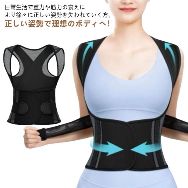 S:おすすめ体重22.5-27.5kgM：おすすめ体重27.5-47.5kgL：おすすめ体重47.5-65kgXL：おすすめ体重62.5-72.5kg2XL：おすすめ体重67.5-77.5kg3XL：おすすめ体重77.5-87.5kg※サイ...