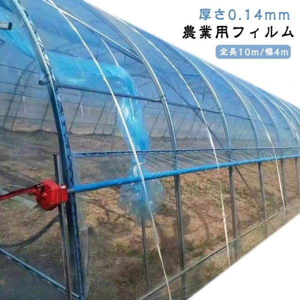 全長10m幅4m