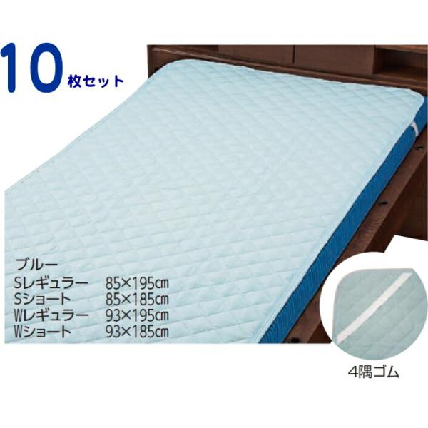 ウェルファン10枚セットJAN4967991438525