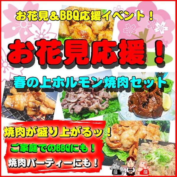 【発売日：2013年11月10日】春のお花見やBBQにはホルモンは絶対に欠かせません！そんなときにピッタリな期間限定の特別セットの登場です！！当店の人気商品を全部で７種類合計1.55kg詰め込んだボリュームたっぷりのお得なセットですよ！「セ...