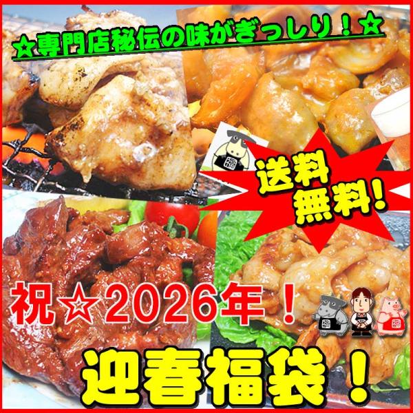 【発売日：2014年01月01日】「2026年の新春をお祝いしてお得な福袋！」2014年度〜2022年度の販売実績で2500セット突破！！あの！迎春福袋が2024年の新春にまたまた販売決定です！新しい年を迎えてさっそくスタミナアップ！専門店...