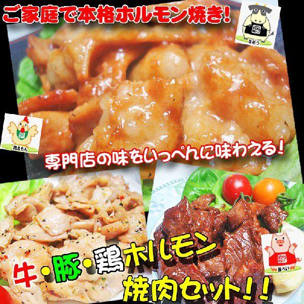 【発売日：2014年03月01日】牛・豚・鶏のホルモンを一度に楽しみたい！そんなご要望にお応えしてできたのがこの[牛豚鶏セット！特に店長が選んだのは、秘伝の味噌だれでじっくりと漬け込んだ、牛味噌上ホルモン、国産豚ハラミ、それに、一羽からわず...