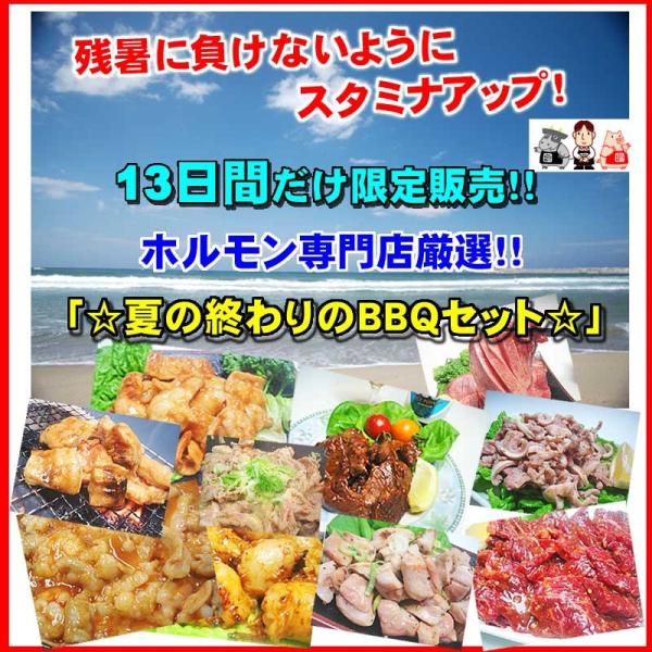 【発売日：2014年07月19日】もうすぐ終わっちゃう”夏休み！”『暑い夏の終わり』を大いに盛り上げていただこうとお得なセットを作りましたよ！人気商品と新商品をドバァーっとたっぷり詰め込んだその数なんと！合計９種類入った大迫力の特製たれ漬け...