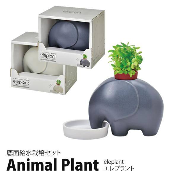 愛知県瀬戸市で作られる瀬戸焼シリーズ「アニマルプラント」。動物たちが水を飲んで育てる、底面給水の栽培キットです。お皿の水を飲んで、背中で植物を育てます。ぬくもりを感じるフォルムとマットな質感にこだわって職人がひとつひとつ丁寧に仕上げたアニマ...