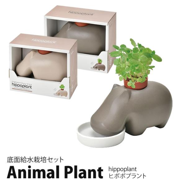 愛知県瀬戸市で作られる瀬戸焼シリーズ「アニマルプラント」。動物たちが水を飲んで育てる、底面給水の栽培キットです。お皿の水を飲んで、背中で植物を育てます。ぬくもりを感じるフォルムとマットな質感にこだわって職人がひとつひとつ丁寧に仕上げたアニマ...