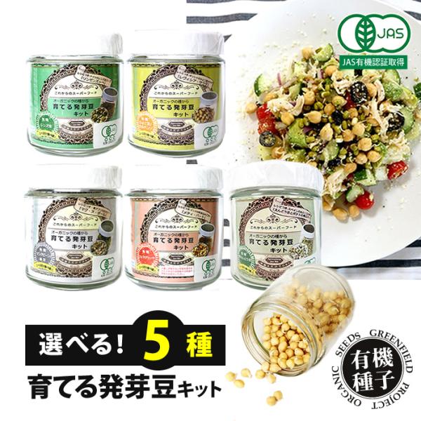 有機種子(JAS有機認証)種／レンズ豆 ひよこ豆 マングビーン フェヌグリーク 青えんどう豆(豆苗)(各50g) 種まき／周年収穫開始期の目安／種まきから約2〜3日関連／ スプラウト 容器 スプラウト栽培 豆 発芽豆 種 水耕栽培キット 水...