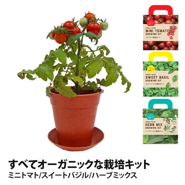 すべてオーガニックな栽培キット種類／スイートバジル、ミニトマト、ハーブミックス有機のタネ(ミニトマト)と有機培養土、プランターのエコ栽培キットです。オンラインレッスンがついているので、栽培初心者さんにもおすすめです。小さいながらも本格的な栽...