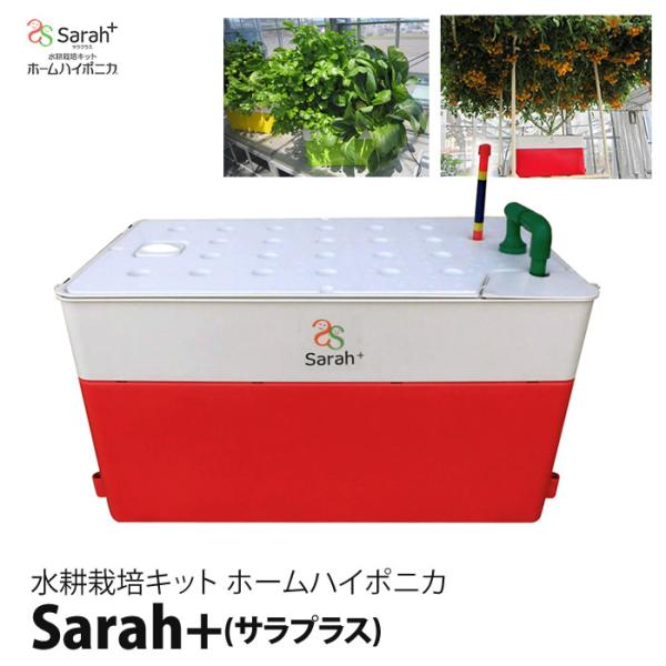 家庭用水耕栽培キットホームハイポニカ sarah サラ プラス本体カラー／イエロー 赤 レッド肥料(ハイポニカ液肥)1L付属！水耕栽培キット ホームハイポニカ Sarah+ サラプラス は、トマトやナスなどの葉物野菜やレタスやバジルなどの葉...