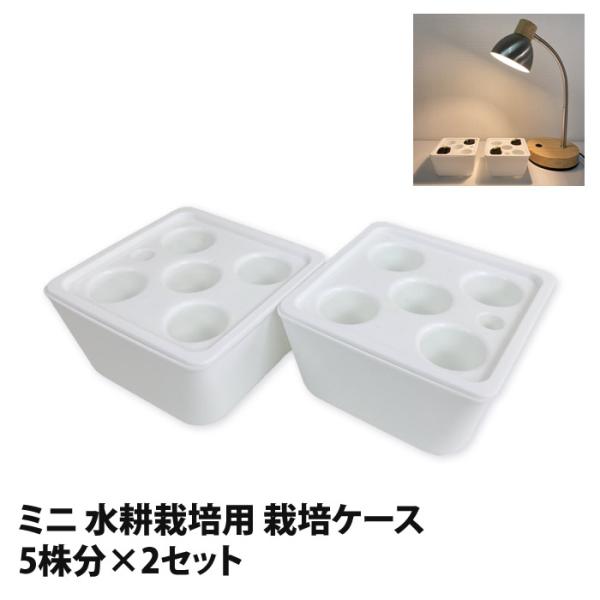 関連／ 水耕栽培 栽培容器 水耕栽培容器 栽培ケース 野菜栽培 栽培