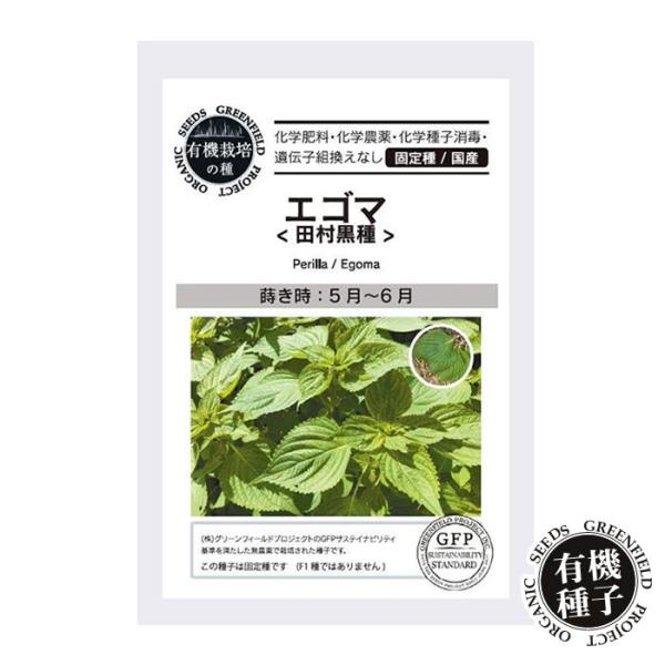 種 タネ 有機種子 エゴマ えごま 田村黒種種まき／5〜6月（地域により差があります）収穫開始期の目安／種まきから60日前後メーカー／グリーンフィールドプロジェクト関連／ 有機栽培 オーガニック 栽培 有機 種 無農薬 水耕栽培 家庭菜園 ...