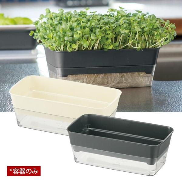 スプラウト栽培容器 グリーンファーム※容器のみ関連／ スプラウト 容器 スプラウト栽培 ブロッコリースプラウト スプラウト 種 リッチェル 水耕栽培キット 水耕栽培
