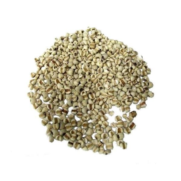 ハーブ／ハトムギ　50ｇ学名：Coix lacryma-jobi var. ma-yuen 皮むきタイプの白いハトムギです。 栄養価が非常に高く、健康食品としても重用されています。そのままお米に１、2割混ぜて炊飯、お粥にも。 焙煎すれば（フ...