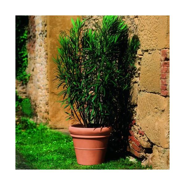 ご購入前の注意点※当商品は輸入品の為、予告無く欠品や入荷遅延が発生する場合がございます。予めご了承下さい。本体サイズ(mm) :Φ750×H610  重量 6.2kg   容量(L) 150材質:プラスチック仕様底穴あり輸入国イタリア製(E...