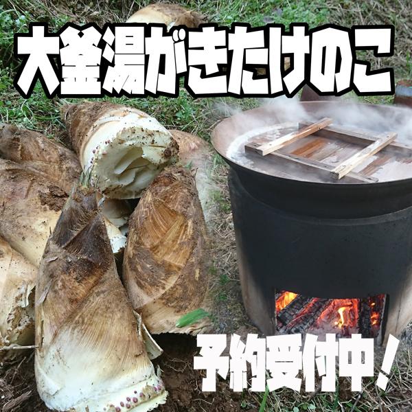 【発売日：2026年04月07日】風味・食感・甘味どれを取ってもスーパーや八百屋さんの筍とは違います！春の食材を鮮度抜群でお届けです♪大釜で一気に湯がいていきますので、とっても柔らかいと好評です。全国一の孟宗竹栽培面積を誇る福岡県八女市で筍...