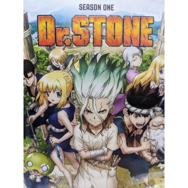 Dr.STONE ドクターストーン 1期 全24話 576分 DVD アニメ 輸入版 | Ecomaオンラインストア | SitePromo